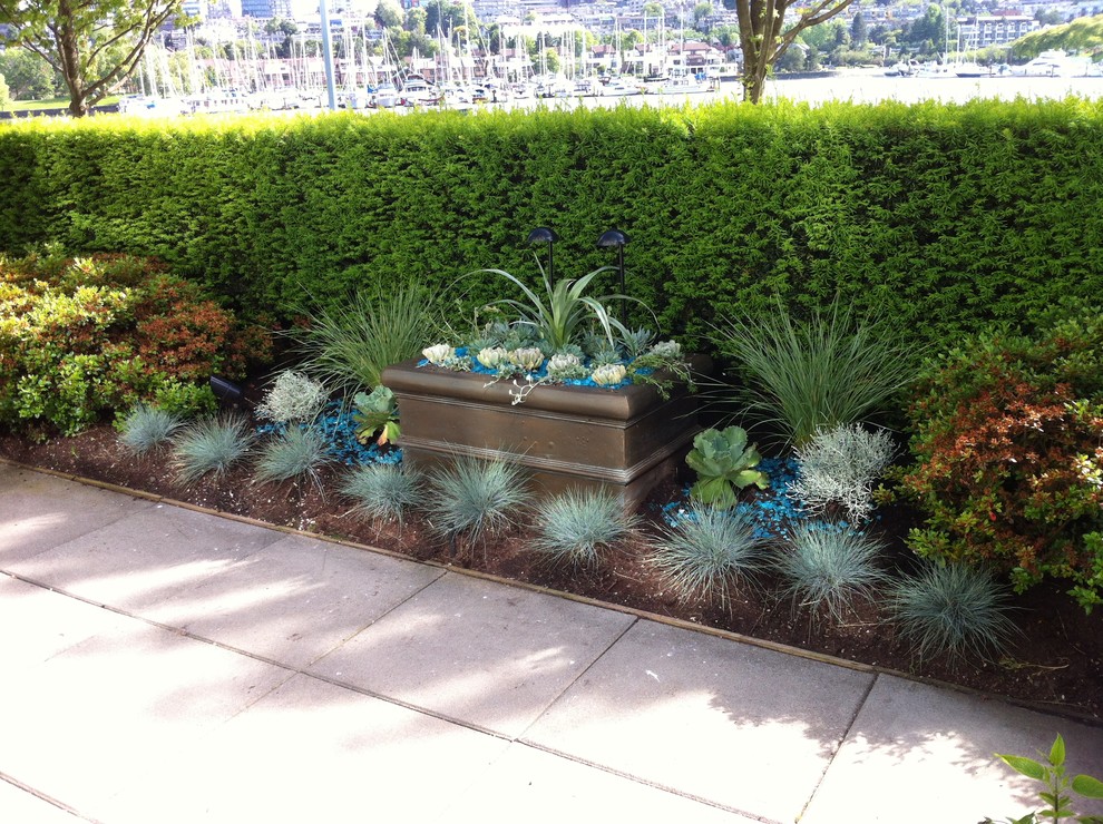 Modern Tropical Garden 2013 - Tropical - Landscape - Vancouver - by ...
