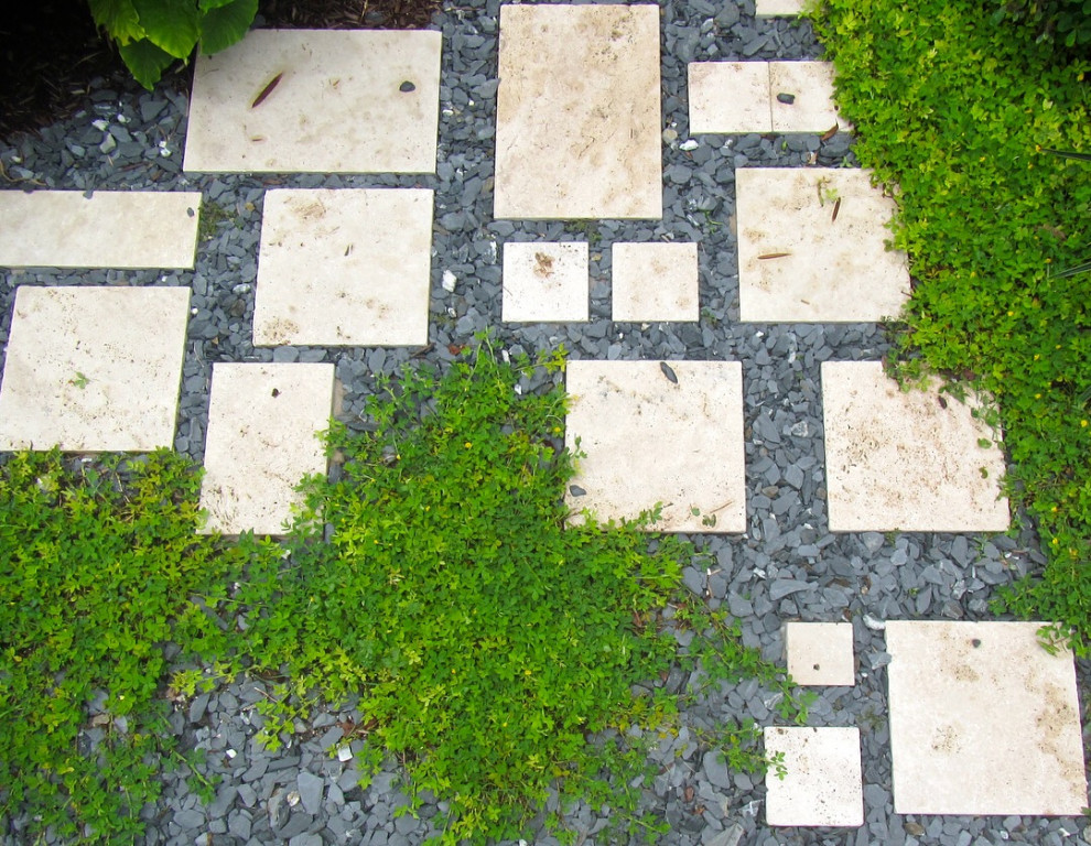Modern walkway Dorado Beach Puerto Rico - Tropical - Garden - Miami ...