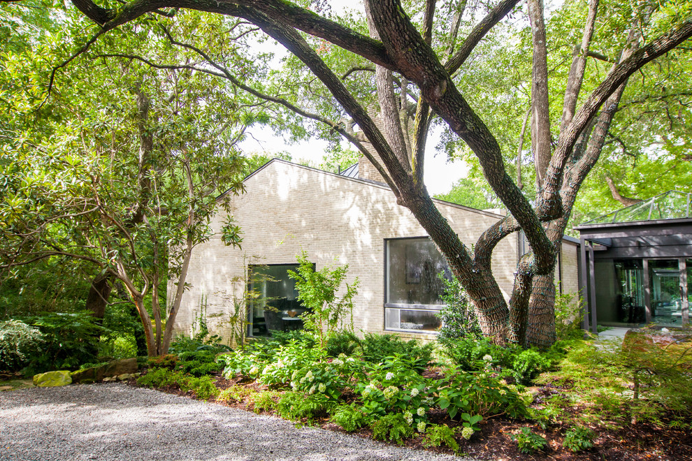 Modern Woodland - Contemporary - Landscape - Dallas - by Blue Ribbon ...