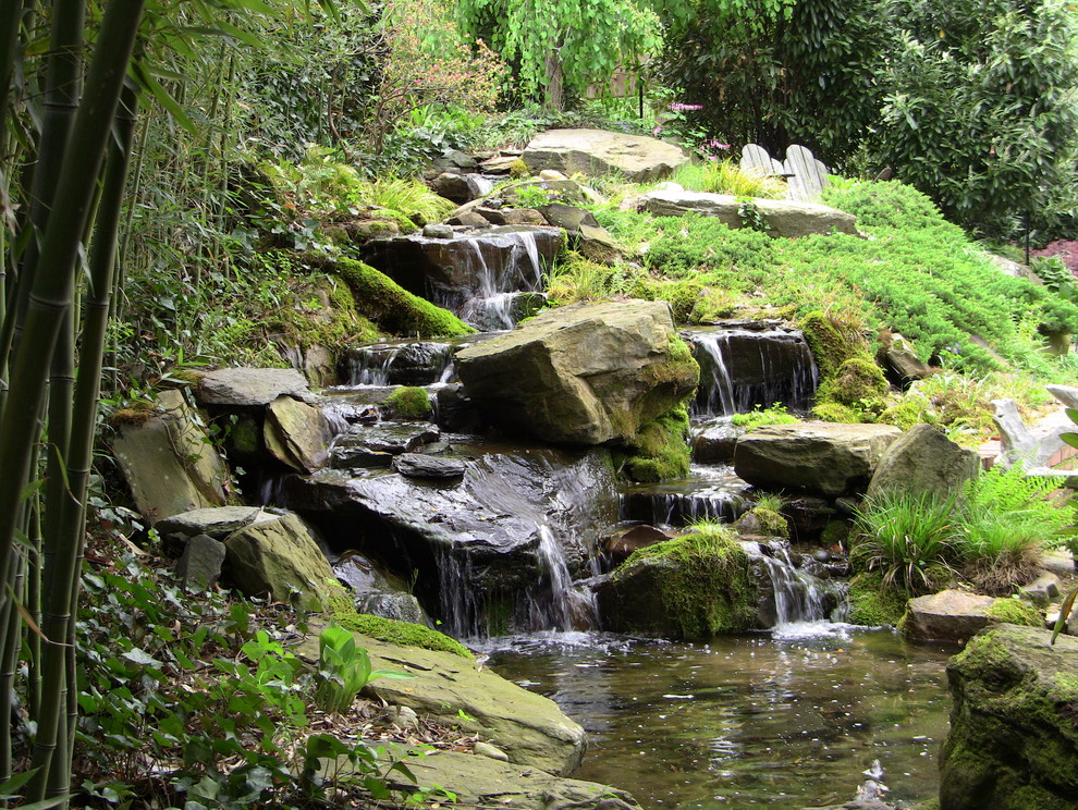 Mom's natural landscape design in Annapolis Md - Traditional ...