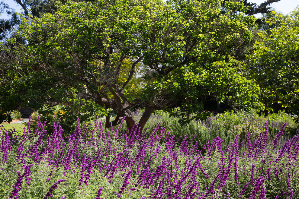 Montecito Oaks - Transitional - Landscape - Santa Barbara - by ...
