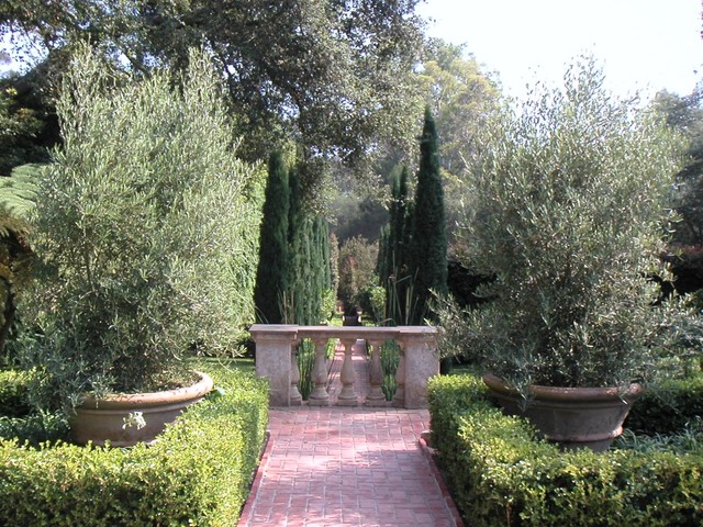 montecito restoration 7 - 地中海 - 庭 - サンタバーバラ - Gary Fredricks Landscape ...