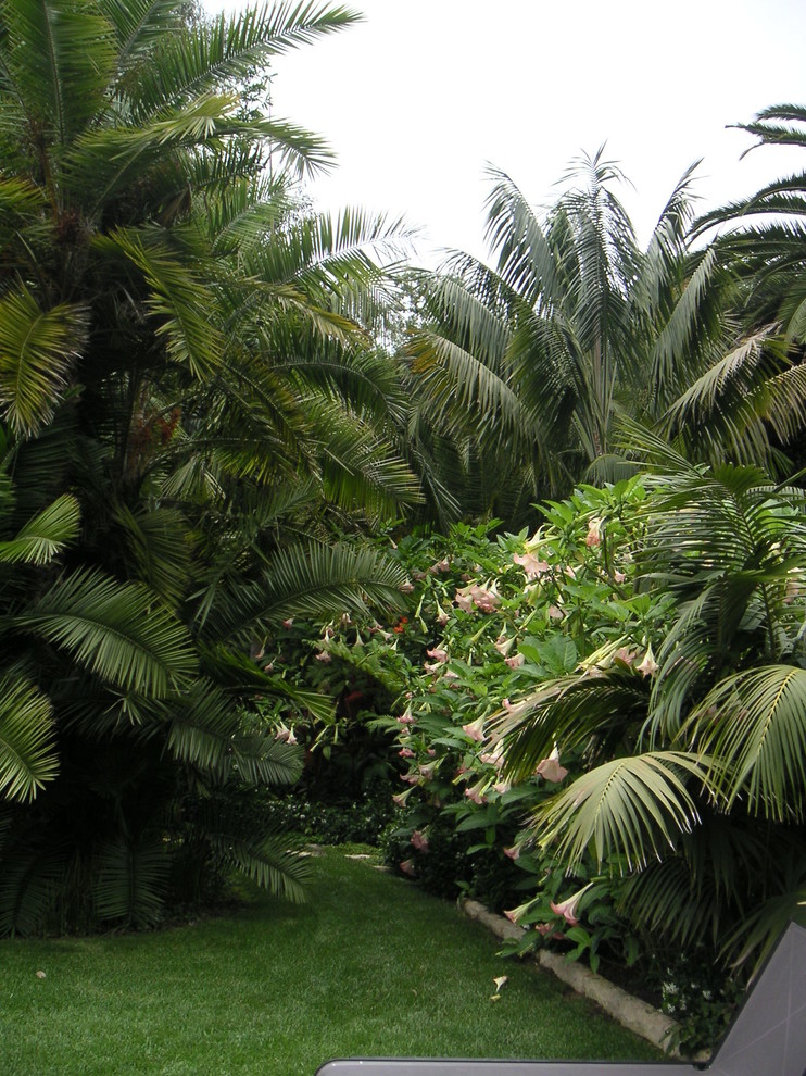 montecito restoration 7 - Mediterranean - Landscape - Santa Barbara ...