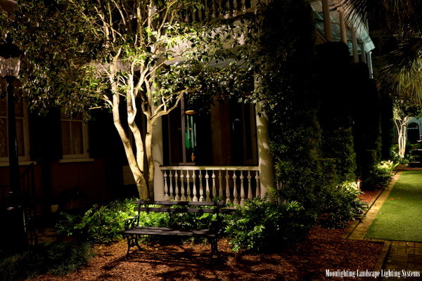 Moonlighting Revitalizes A Traditional Charleston Garden - Traditional ...