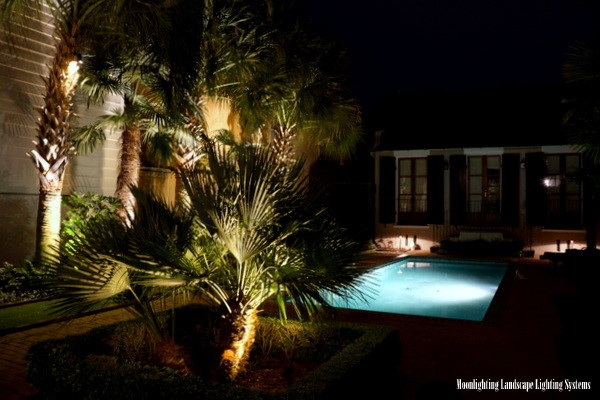 Moonlighting Revitalizes A Traditional Charleston Garden - Traditional ...