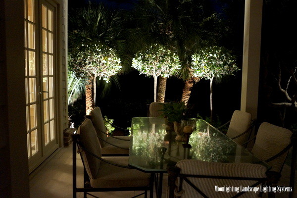 Moonlighting Sets A Sea Pines Landscape Aglow - Contemporary ...
