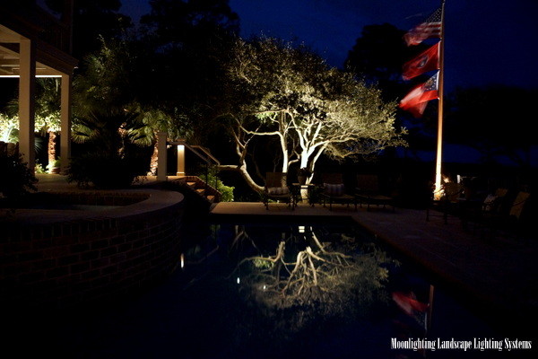 Moonlighting Sets A Sea Pines Landscape Aglow - Contemporary ...