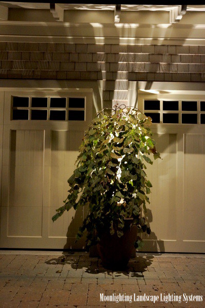 Moonlighting Sets A Sea Pines Landscape Aglow - Contemporary ...