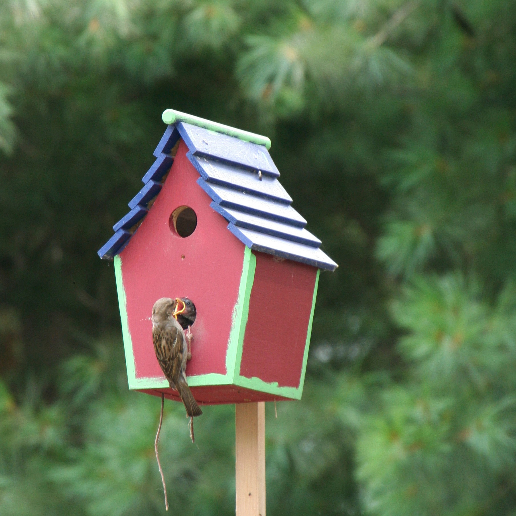 10 Ideas for a Terrace Makeover
