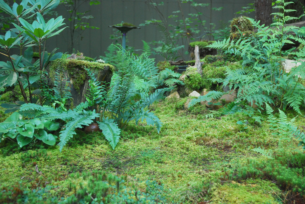 Moss and Fern Garden - Traditional - Landscape - Other - by Mountain ...