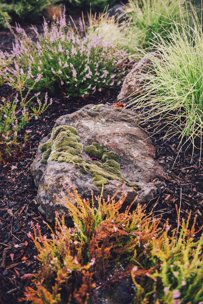 Moss Covered Boulder + Hardy Perennials - Modern - Landscape - Other ...