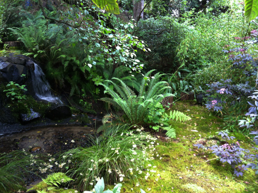 Moss Garden - Traditional - Landscape - Seattle - by Barbara Lycett ...