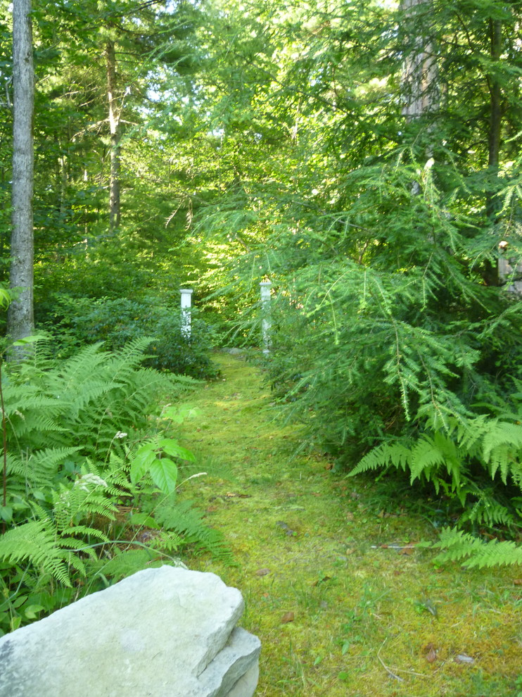 Moss path to the South - Rustic - Landscape - New York - by The Crafted ...