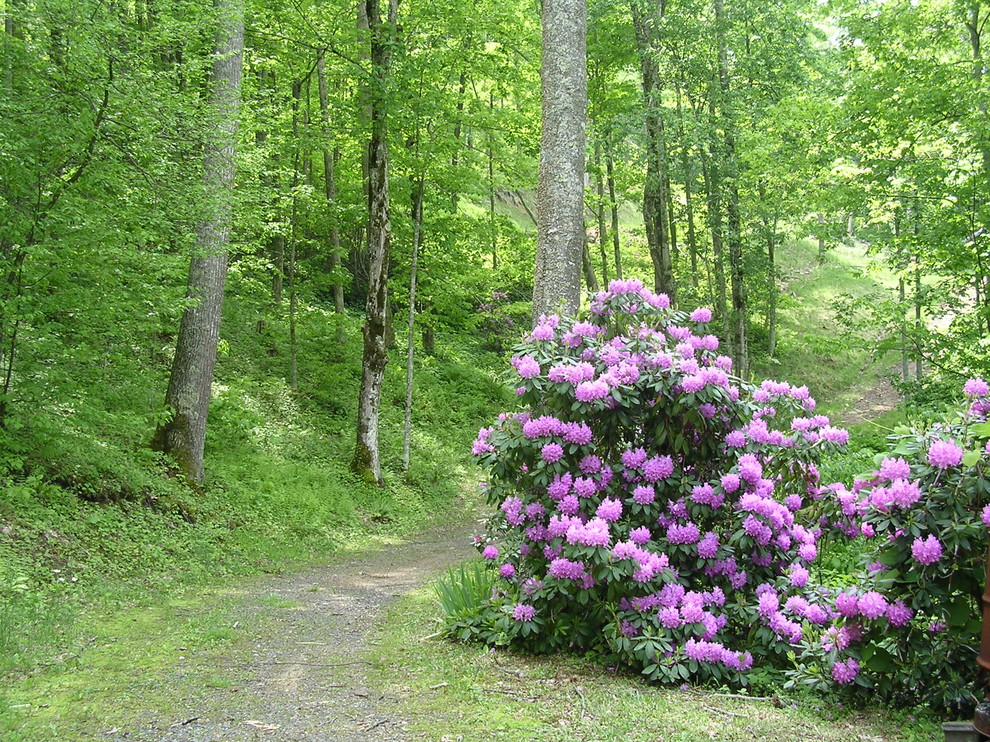 Mountain cabin small space ideas - Traditional - Landscape - Charlotte ...