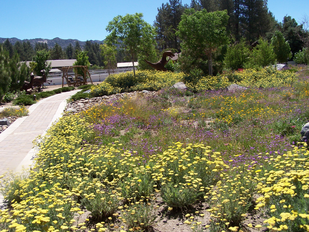 Mountain Home/Ranch - Rustic - Landscape - Other - by Attinger ...