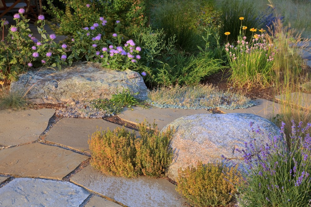 Mountain Meadow - Landscape - Other - by Beth MacFawn Landscape Design ...