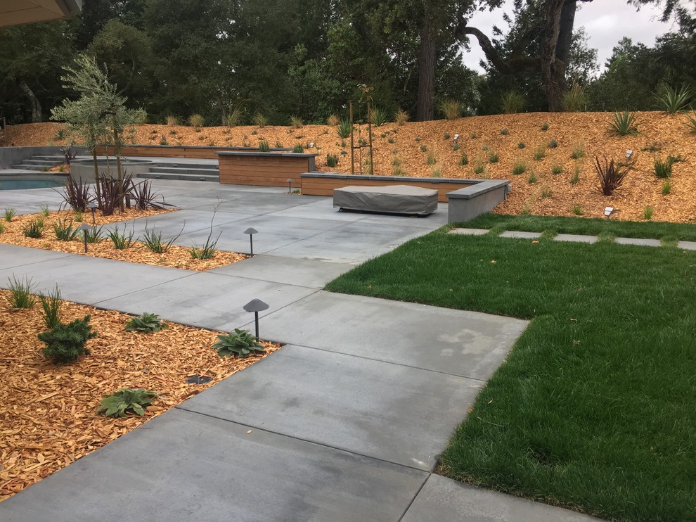 Mountain modern - Modern - Landscape - San Francisco - by Solid Rock ...