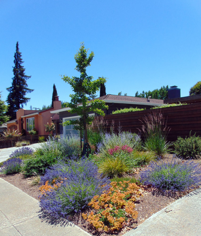 Mountain View, California - Modern - Landscape - San Francisco - by ...