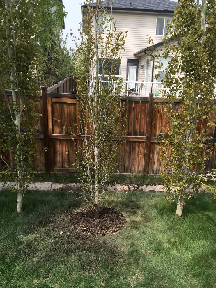 Mulch Beds - Landscape - Calgary - by Alpine Vista Landscapes Inc | Houzz