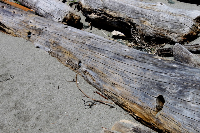 Mutiny Bay Waterfront Residence, Whidbey Island WA - Traditional ...