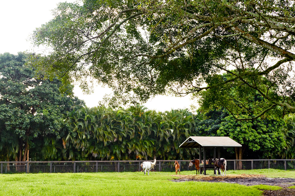 My Houzz: Blue Stallion Farm - Eclectic - Landscape - Other - by Rikki ...