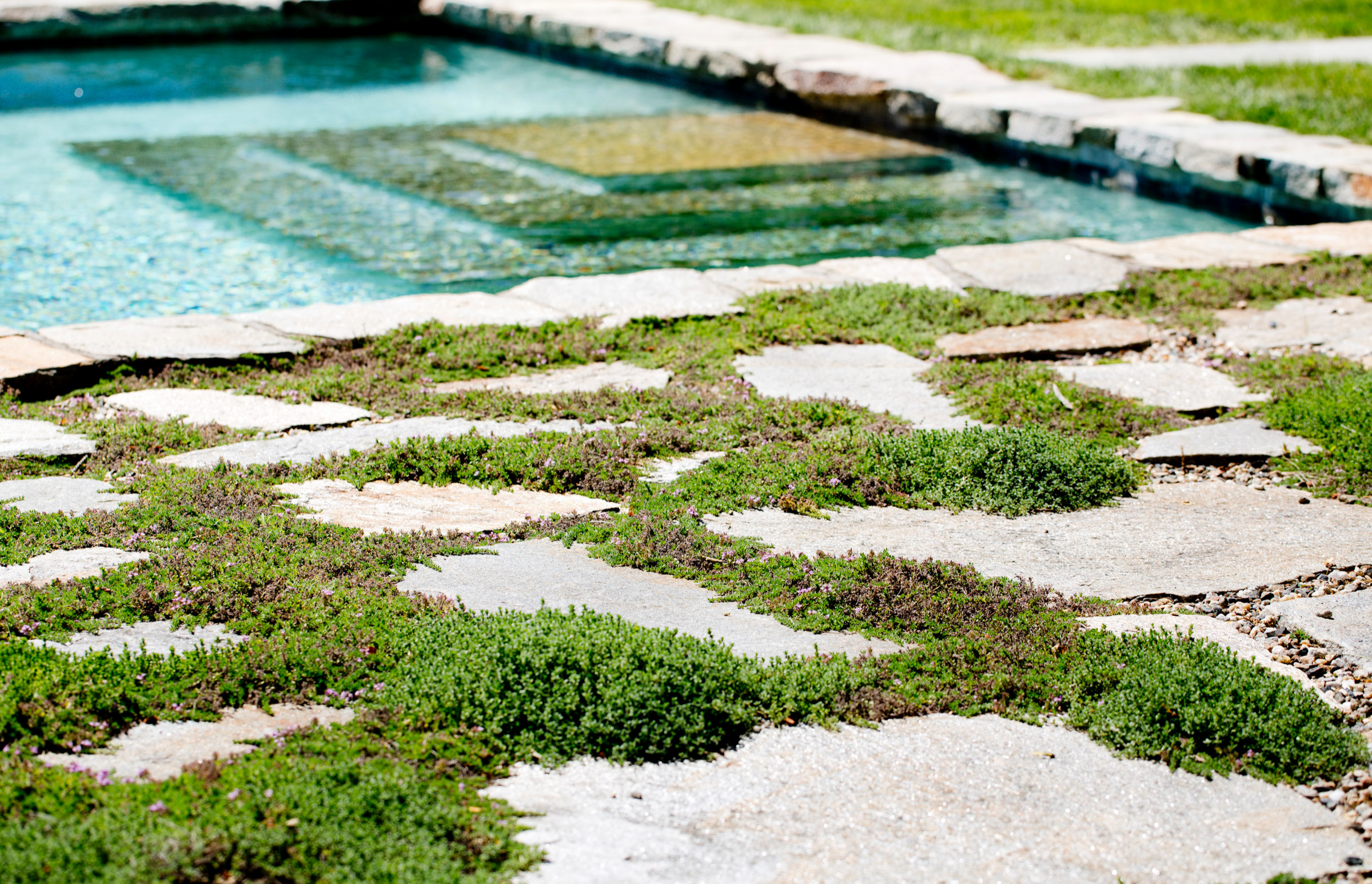 My Houzz: Classic Garden Style for a 1745 Connecticut Farmhouse