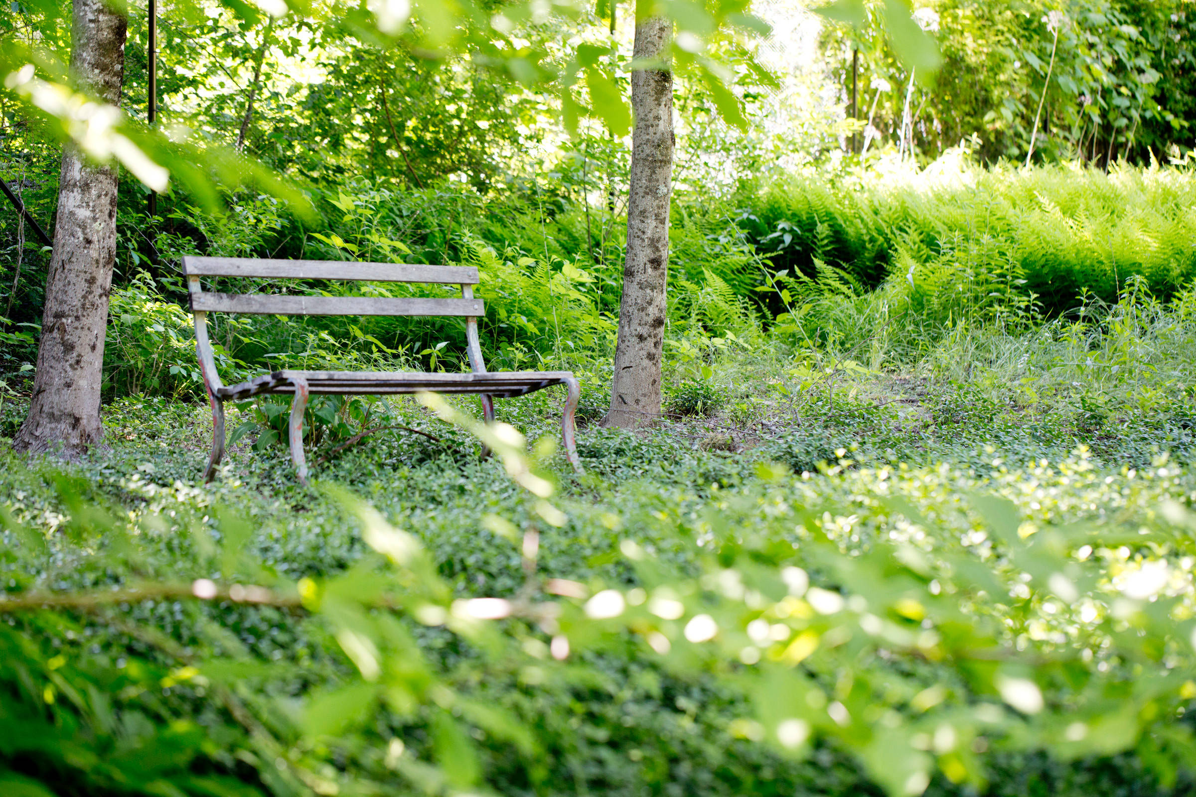 My Houzz: Classic Garden Style for a 1745 Connecticut Farmhouse