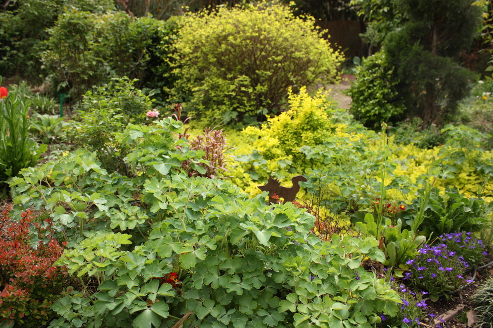 My own garden - Traditional - Landscape - Sacramento - by Roberta ...