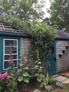 Nantucket Cottage Garden - Contemporary - Landscape - Boston - by ...