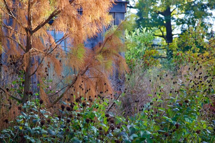 Narberth, PA - Landscape Restoration & Hardscaping - Farmhouse ...