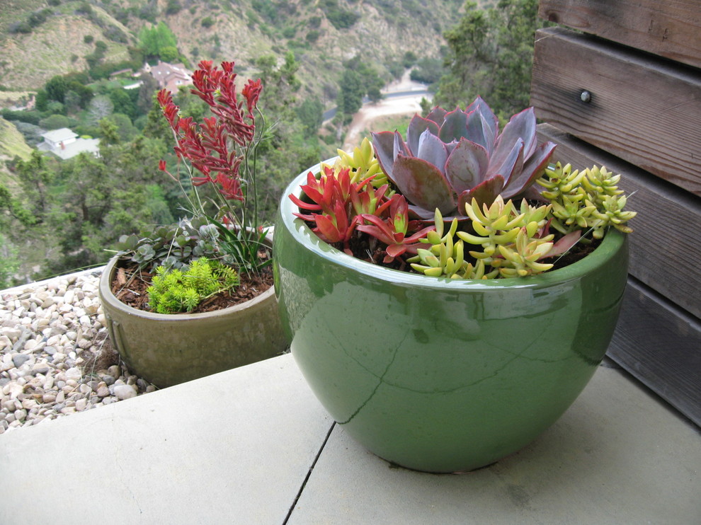 Narrow View Garden - Contemporary - Landscape - Los Angeles - by Ketti ...