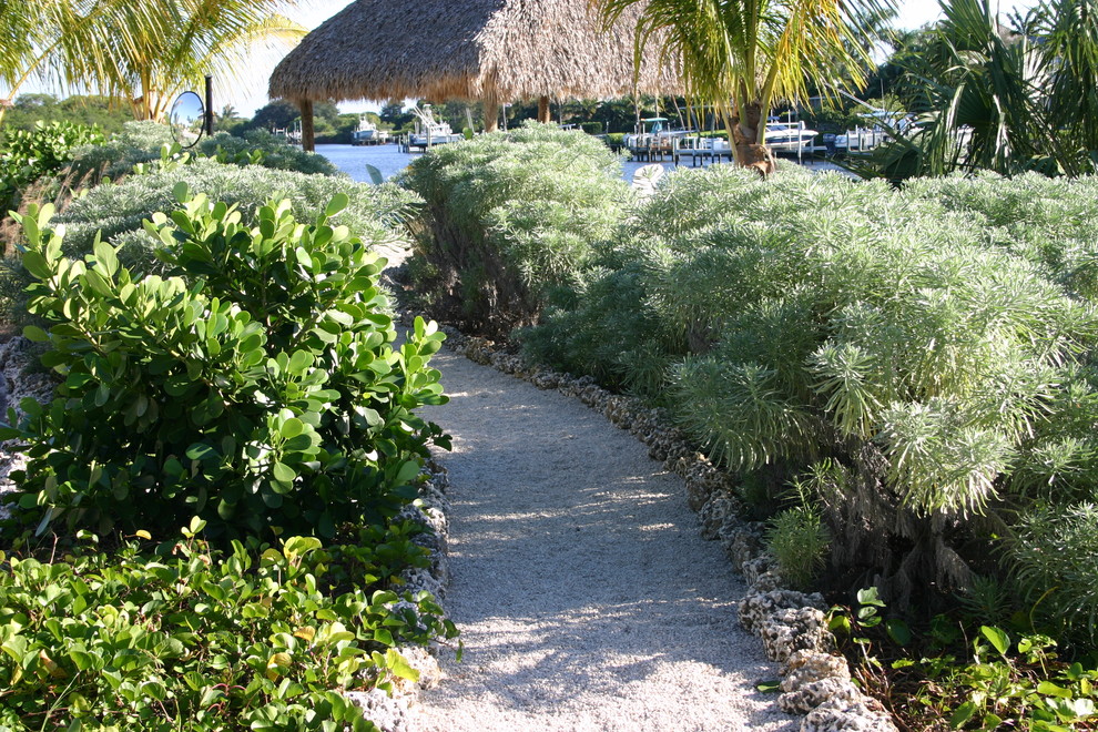 Native coastal design - Beach Style - Landscape - Miami - by Michael ...