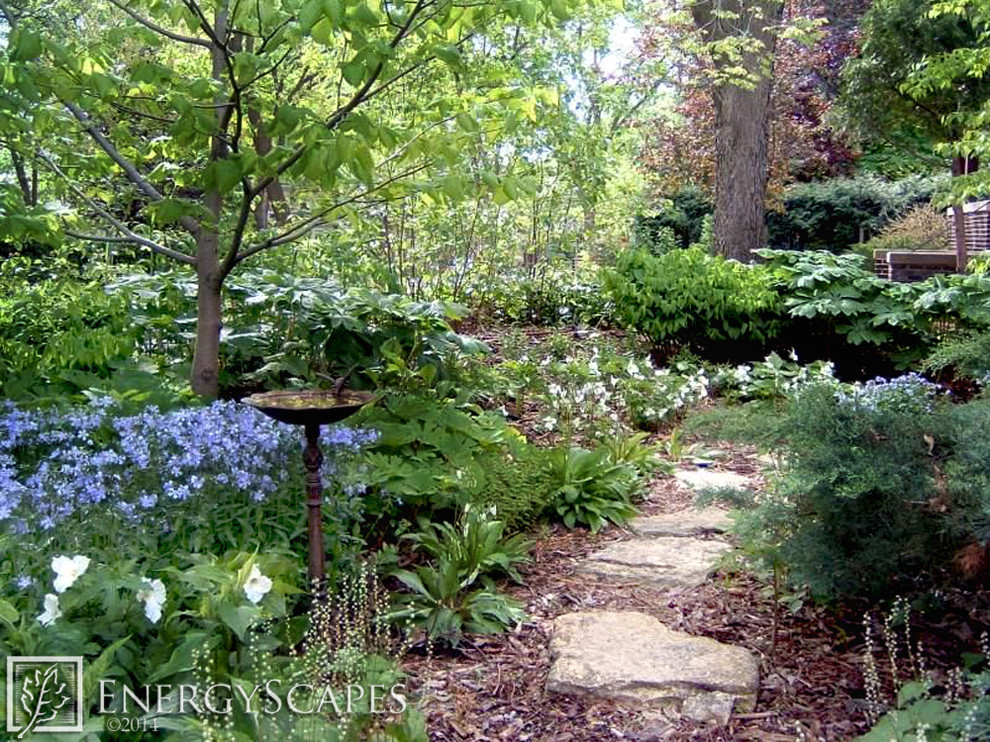 Native Gardens - Traditional - Landscape - Minneapolis - by ...