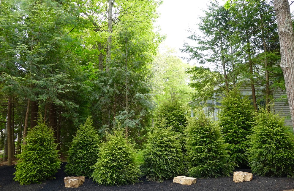 Native Hemlock Hedge - Montagne - Jardin - Portland Maine - par Thomas ...