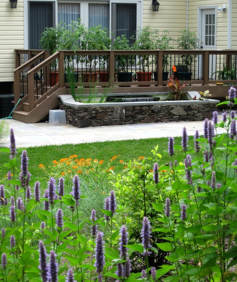 Native landscape - Contemporary - Landscape - DC Metro - by Magee ...