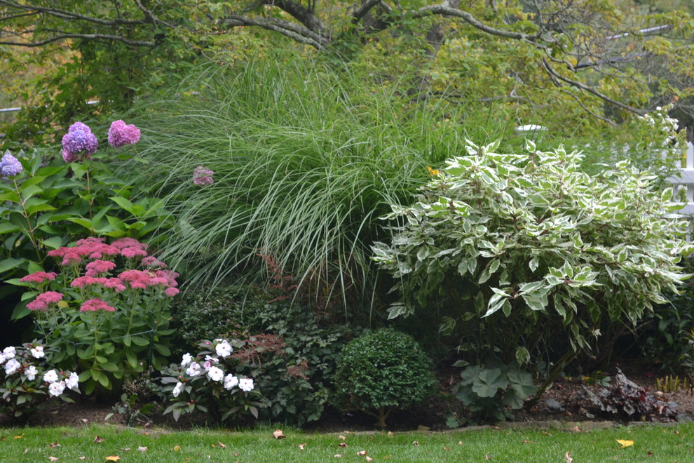 Native plant combinations - Traditional - Landscape - New York - by ...