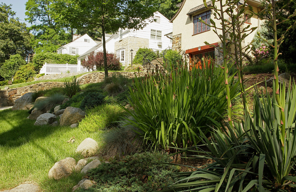 Native Plants for New Construction - Traditional - Landscape - New York ...