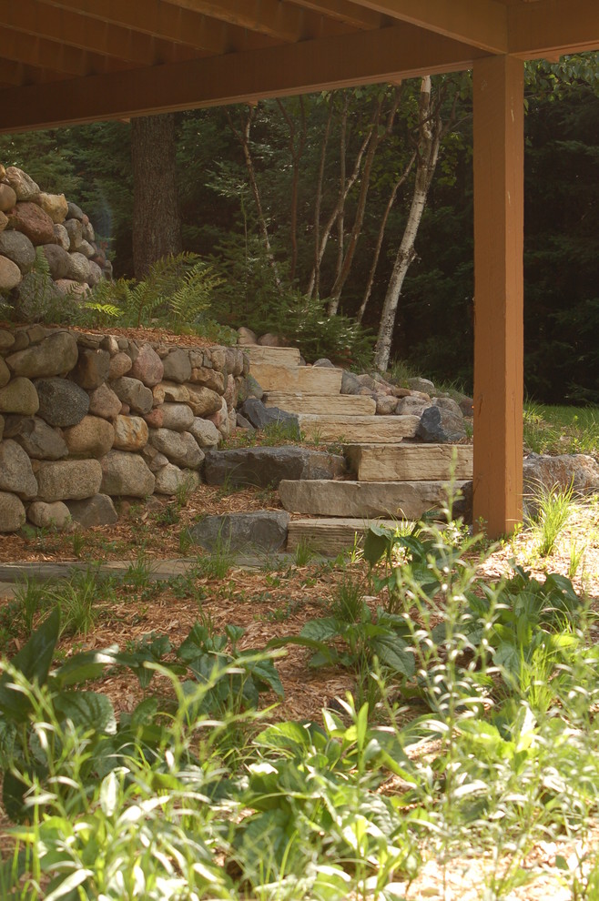 Native Shoreline Buffer and Lakefront Property Enhancement ...