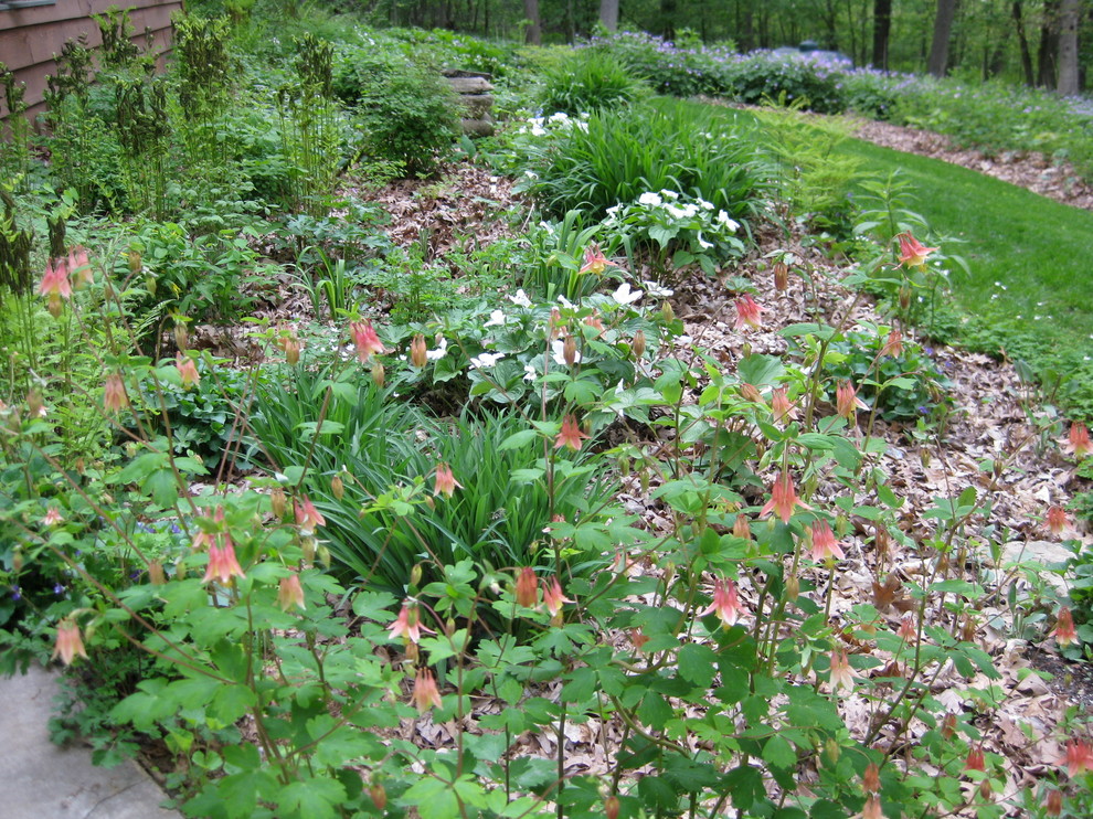 Native Woodland Garden - Traditional - Landscape - Minneapolis - by ...