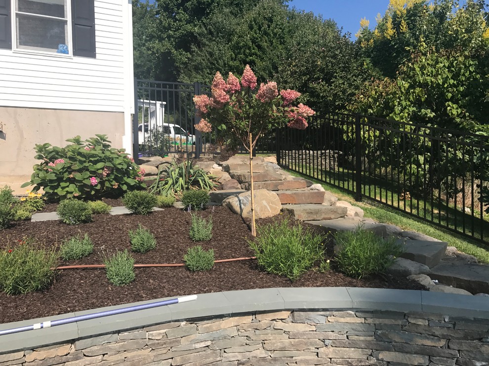 Natural antique bluestone wall with plantings and bluestone steppers ...