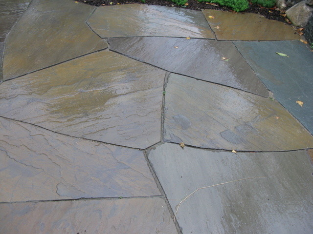 Natural cleft bluestone walkway - Traditional - Landscape - Boston - by ...