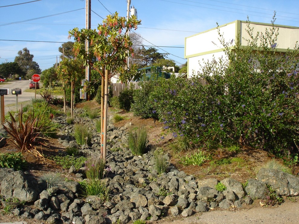 Natural Drainage - Traditional - Landscape - San Luis Obispo - by ...