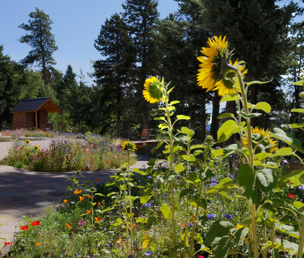 Natural Mountain Oasis - Rustic - Landscape - Denver - by Columbine ...