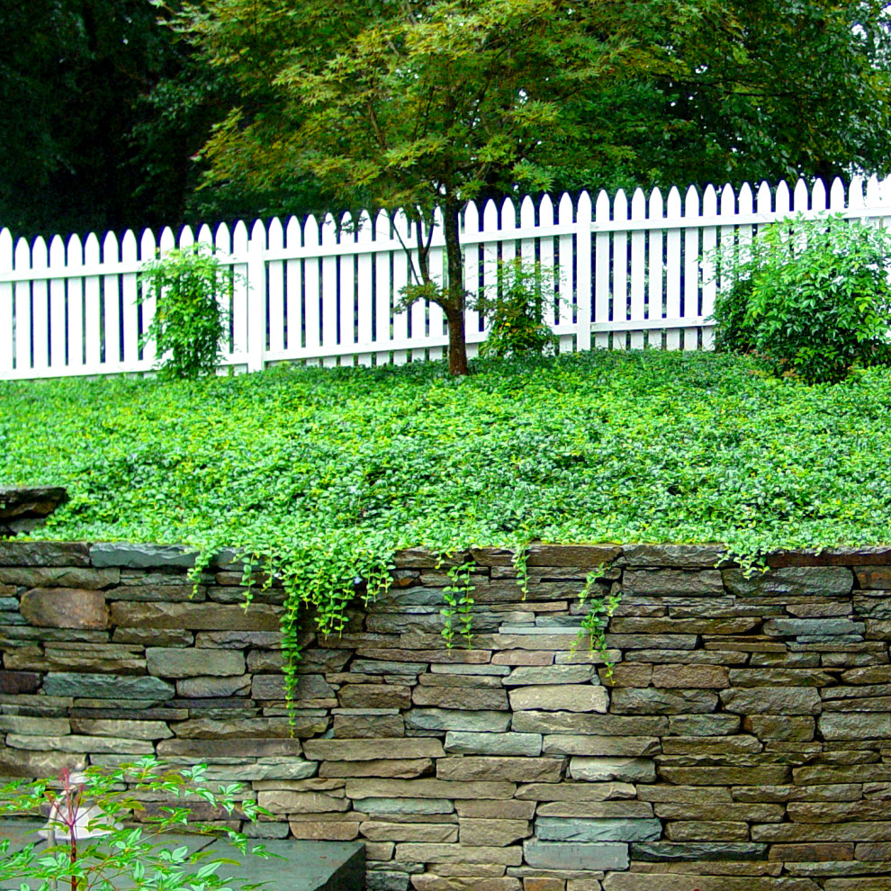 Natural Stone Walls - Landscape - Other - by Caliper Farms Nursery and ...
