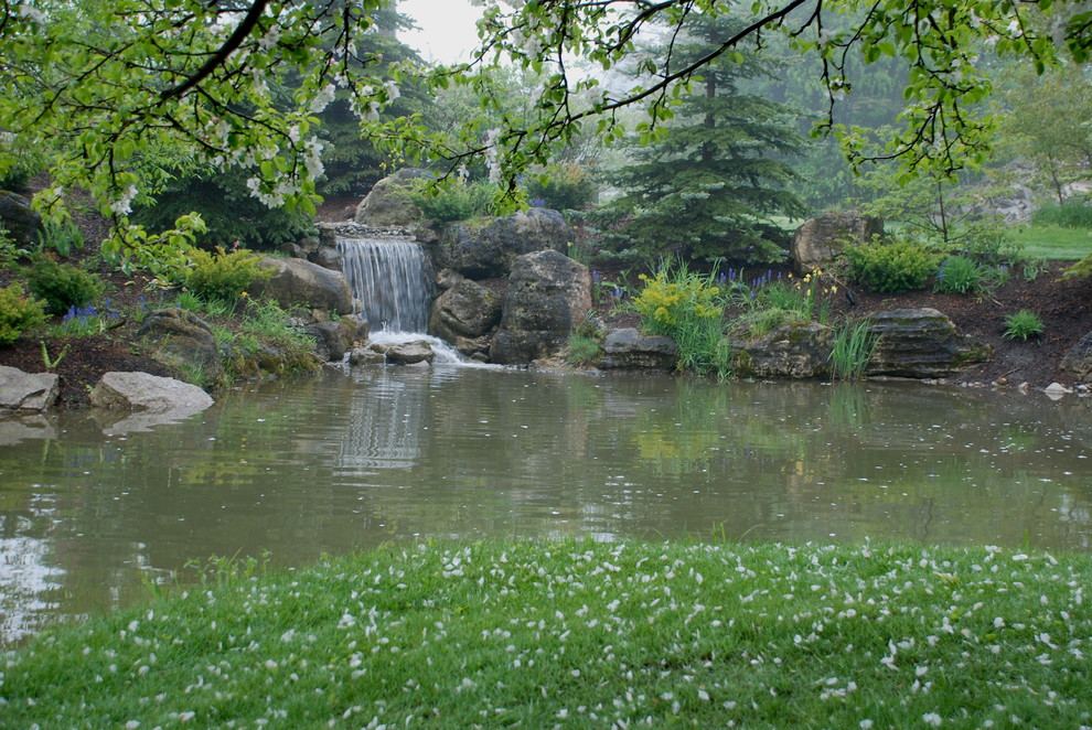 Natural Swim Pond - Traditional - Landscape - Toronto - by Tumber ...