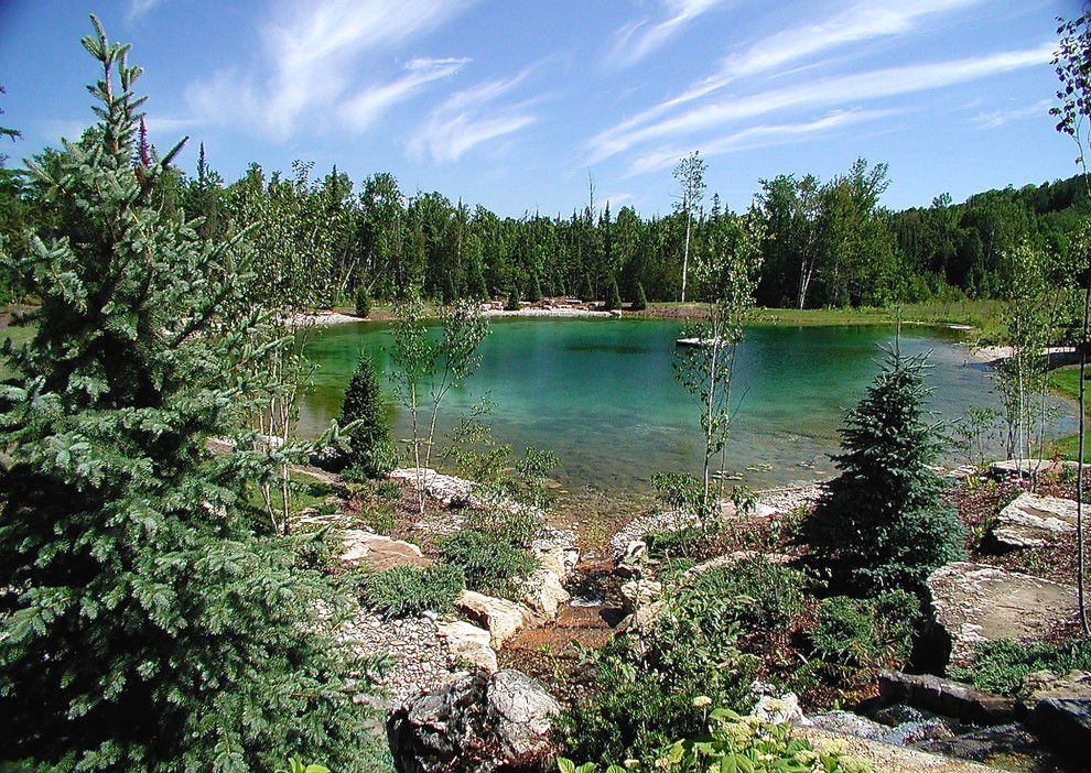 Natural Swim Pond - Traditional - Landscape - Toronto - by Tumber ...