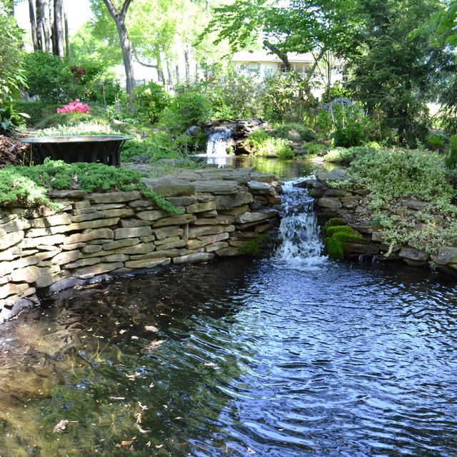 Natural Water Feature & Landscaping - Clásico - Jardín - Charlotte - de ...