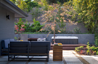 Naturalistic Contemporary Home in Santa Monica - Modern - Landscape ...