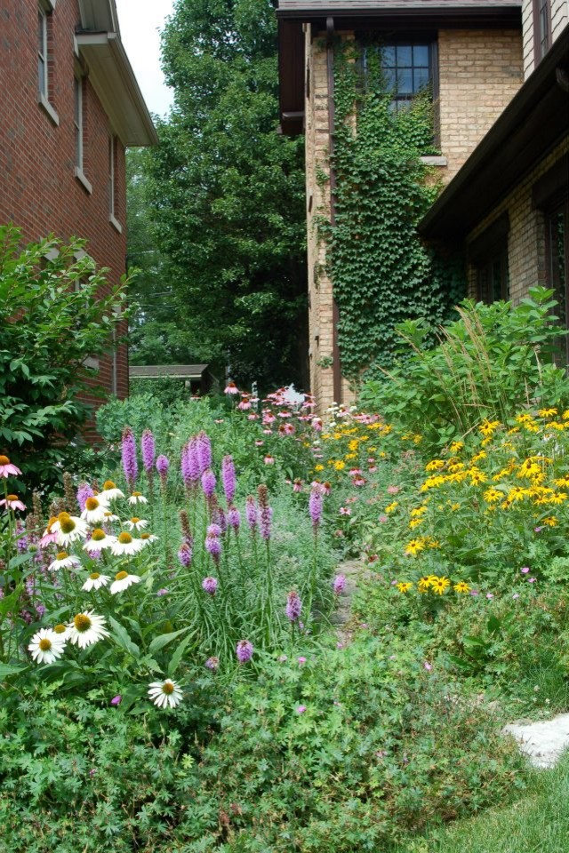 Naturalized Bedflows - Landscape - Chicago - by Eco Scapes, Inc. | Houzz
