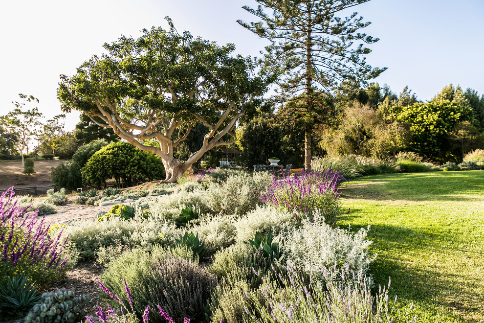 Nature Enthusiast - Landscape - Orange County - by Molly Wood Garden ...